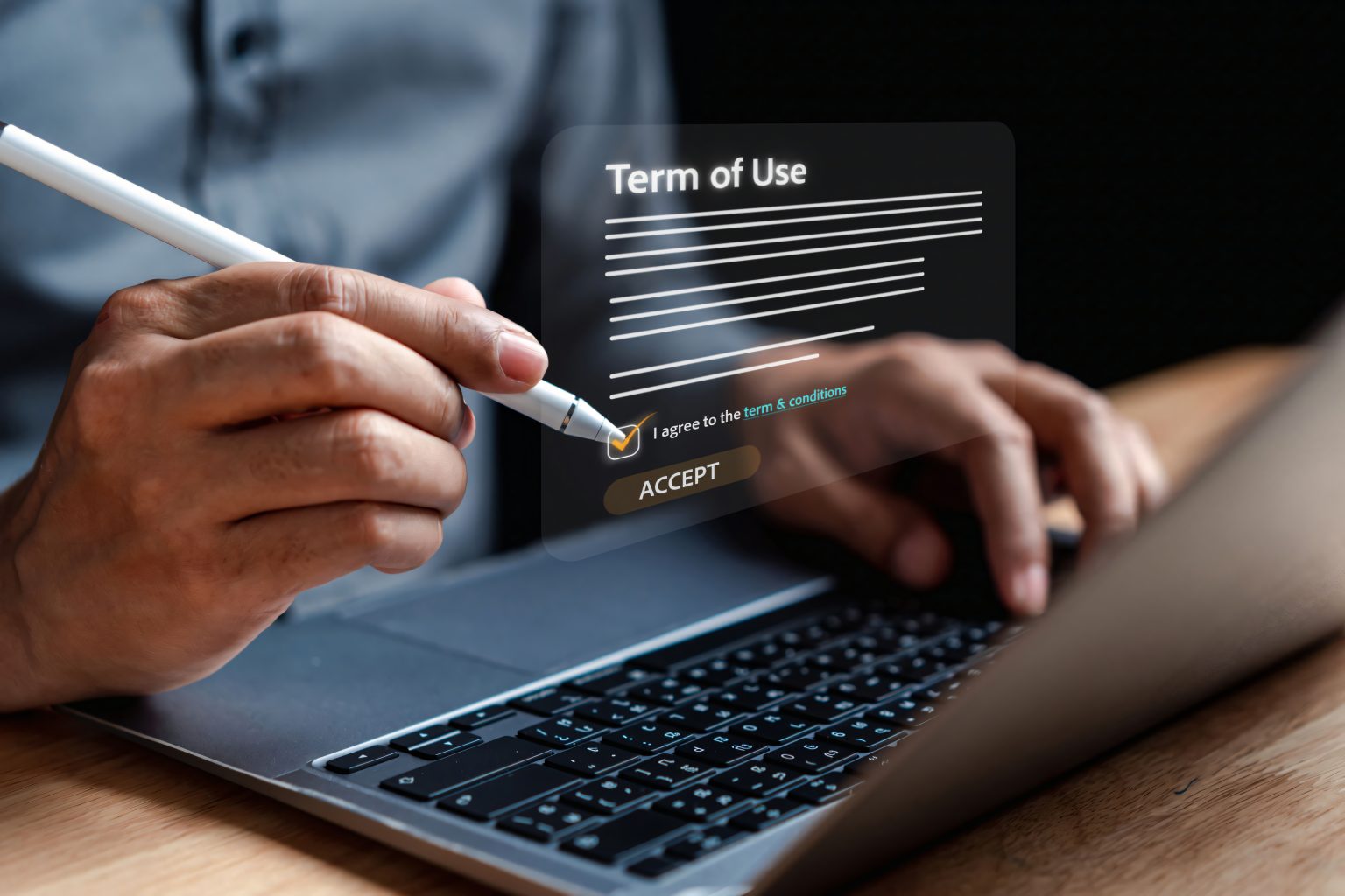 Ongoing Maintenance and Subscription Fees in Software 2024