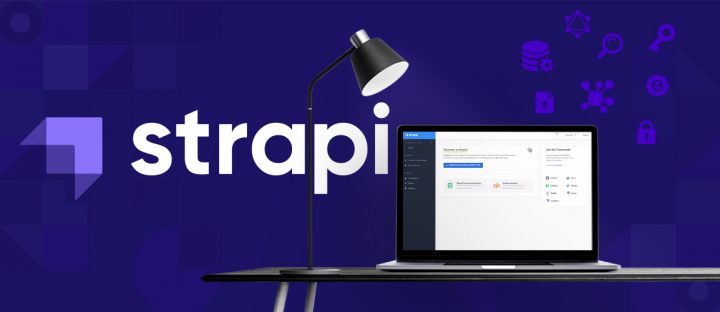Types of Strapi Custom Development Services Available